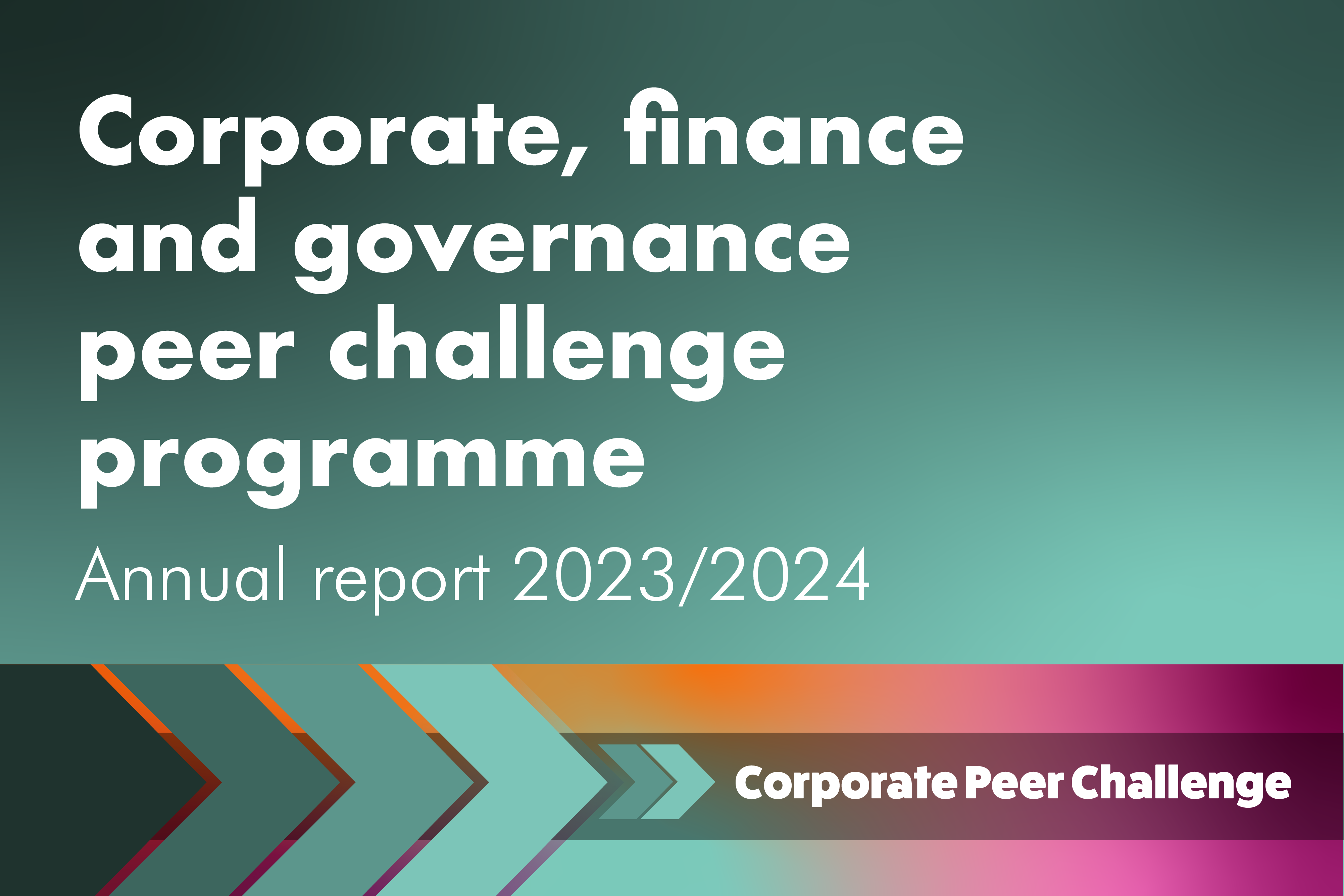 Corporate, finance and governance peer challenge programme: Annual ...