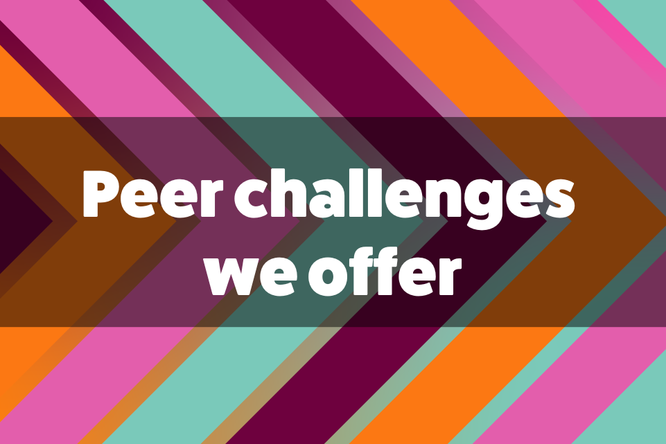 Peer challenges we offer | Local Government Association