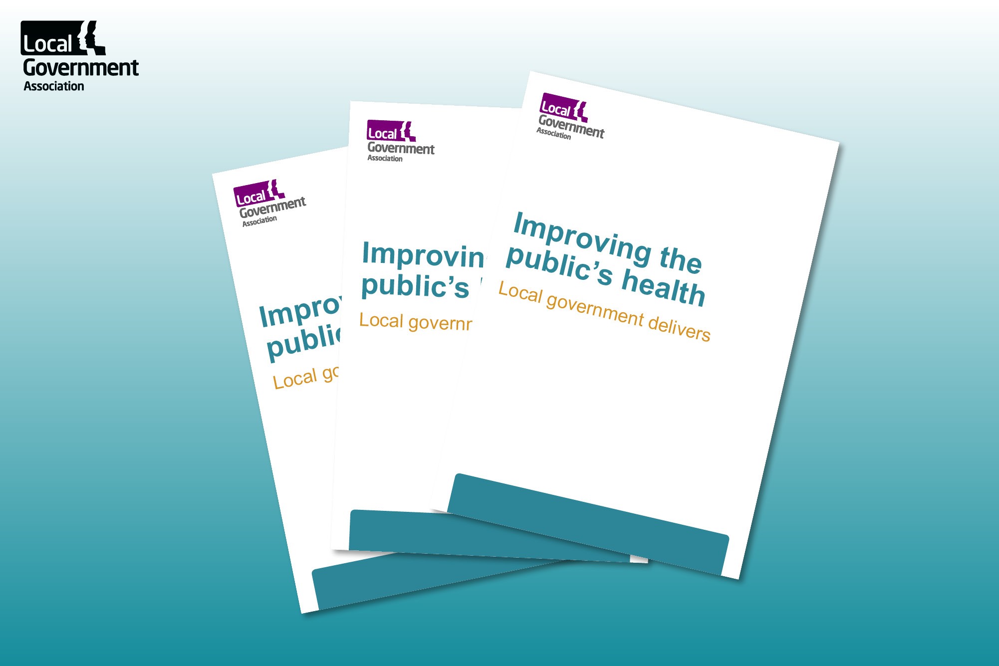 Improving the public's health: local government delivers | Local ...