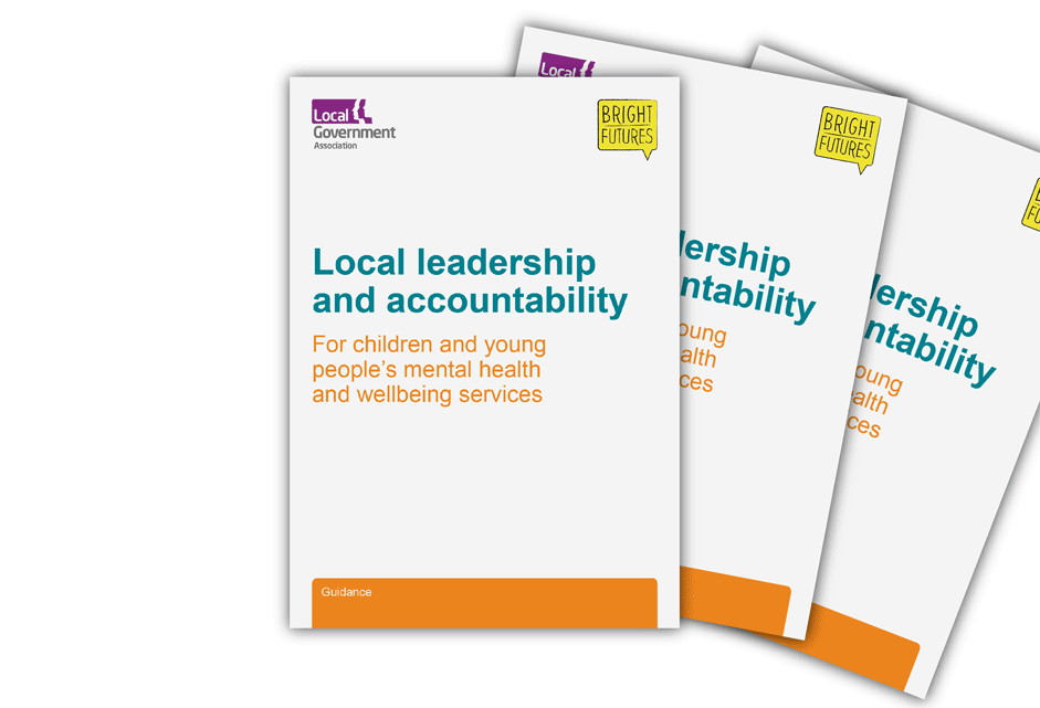 Local leadership and accountability for children and young people's ...